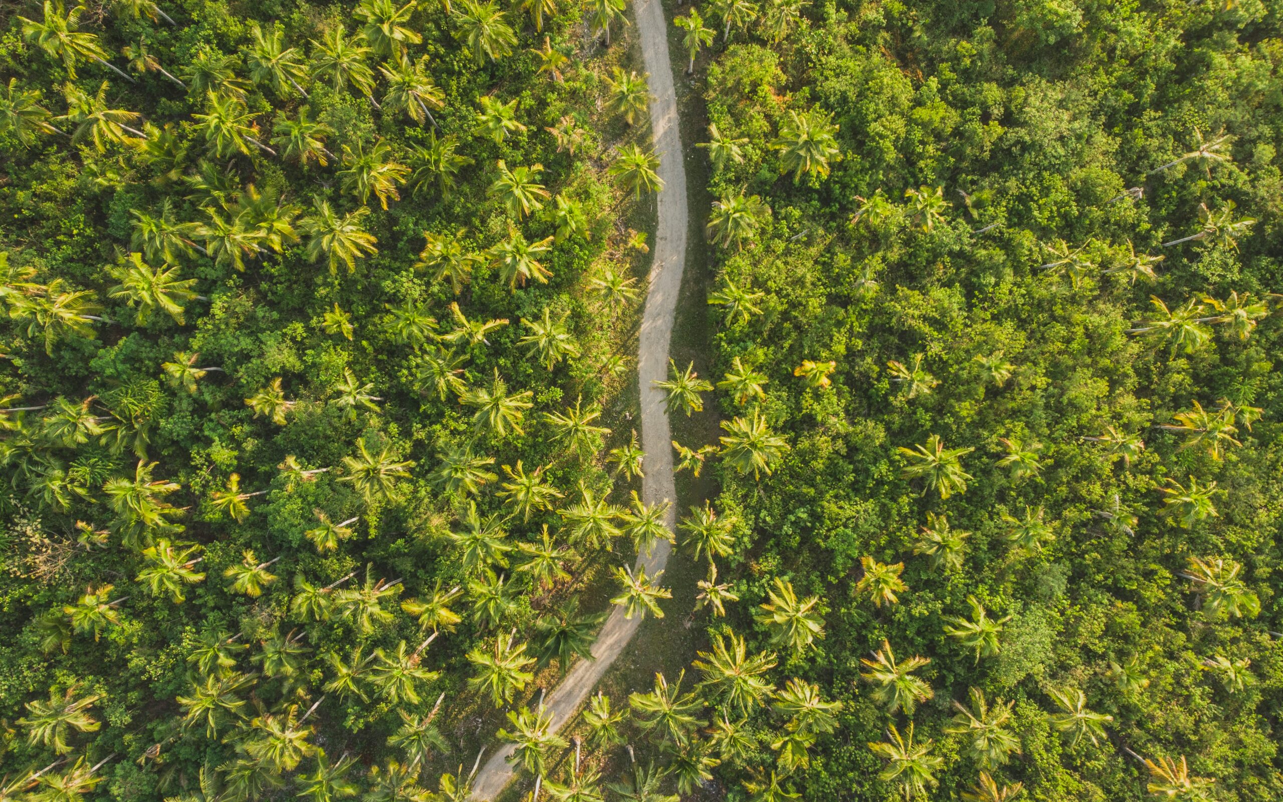 Filipino environmental groups join International Union for Conservation ...